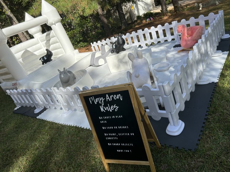 Packages - Little Tiny Fun Fairburn GA